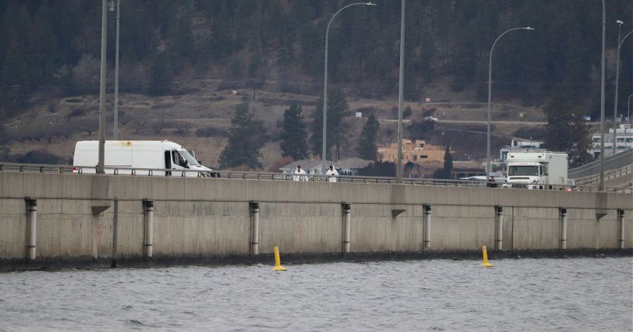 Bridge incident a ‘powerful reminder’ of why second crossing is needed ...
